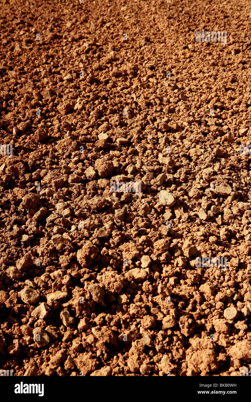 Clay red agriculture textured soil of farmland Stock Photo - Alamy