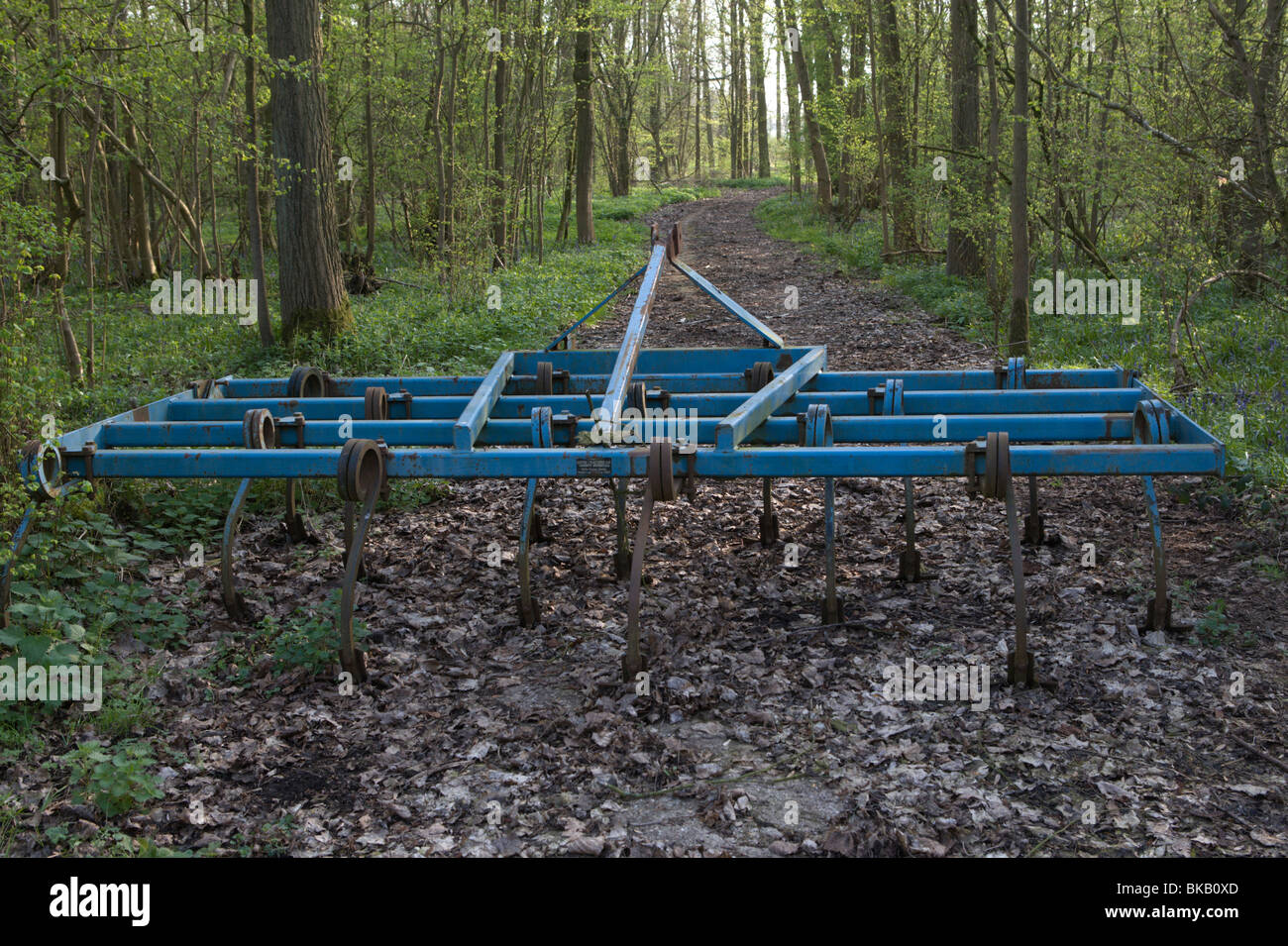 spring tine cultivator Stock Photo - Alamy
