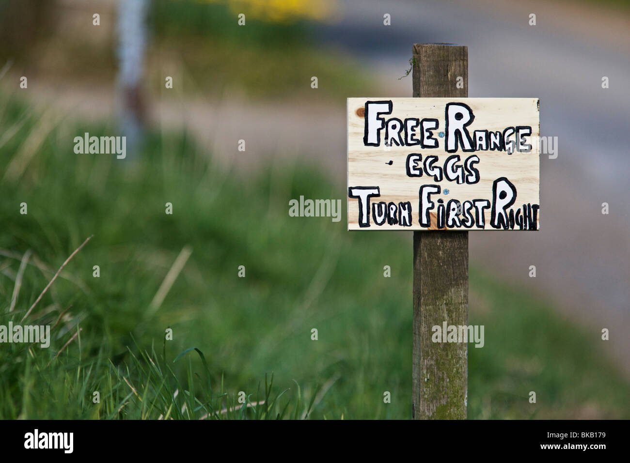 "Free range eggs for sale"sign at farm road end Stock Photo - Alamy
