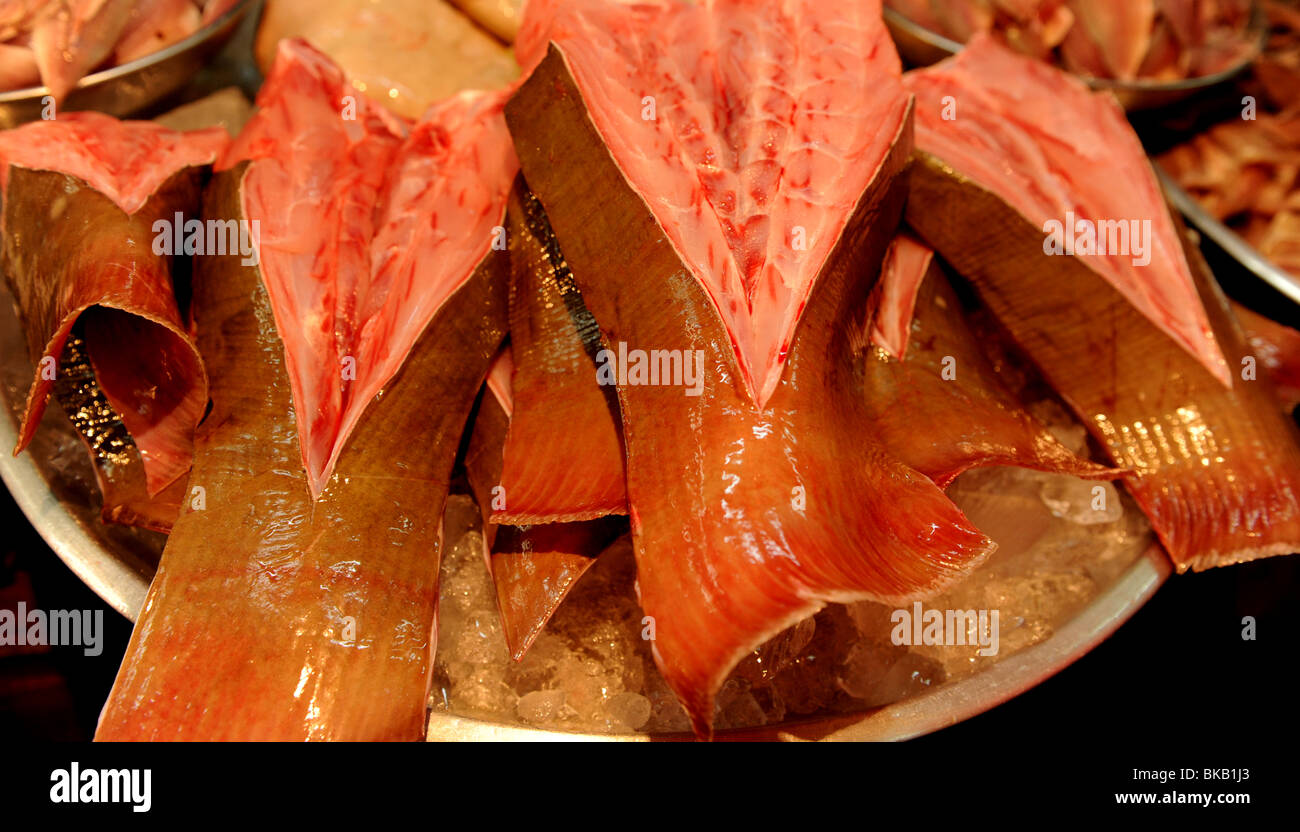 red fish for sale , ban phe fish market , rayong , thailand Stock Photo ...