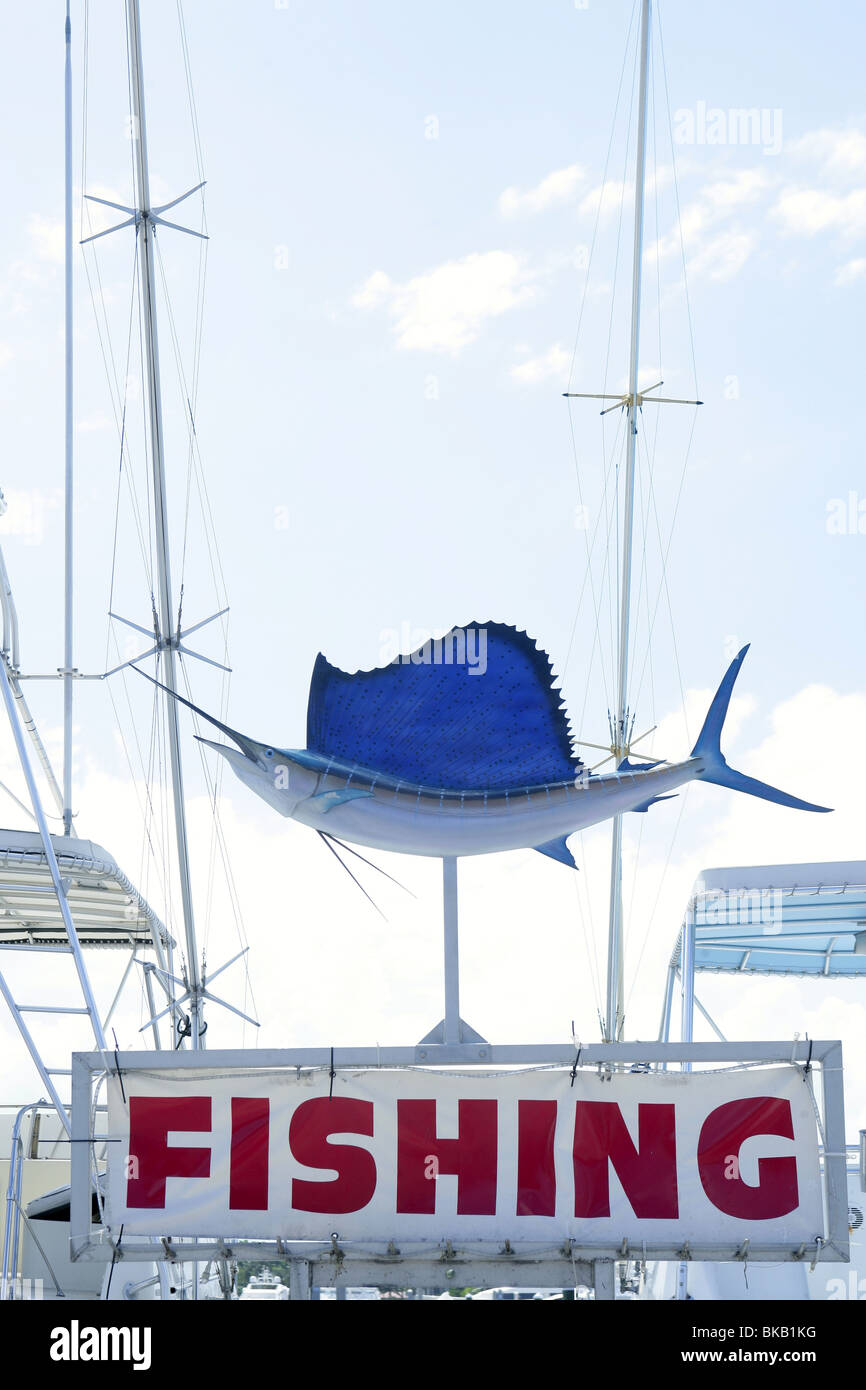 Sailfish board hi-res stock photography and images - Alamy