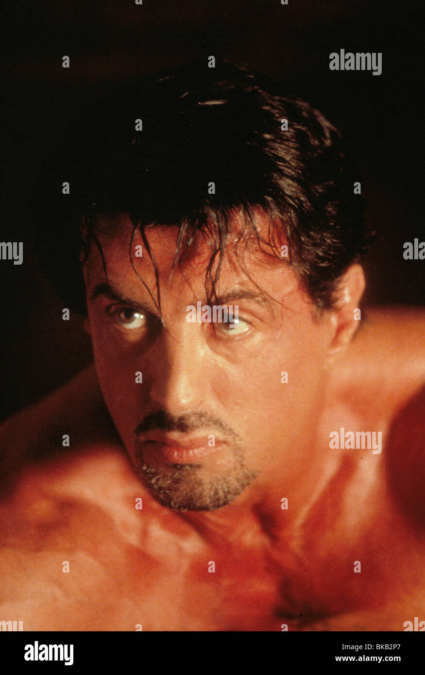 GET CARTER (2000) SYLVESTER STALLONE GETC 001 Stock Photo - Alamy