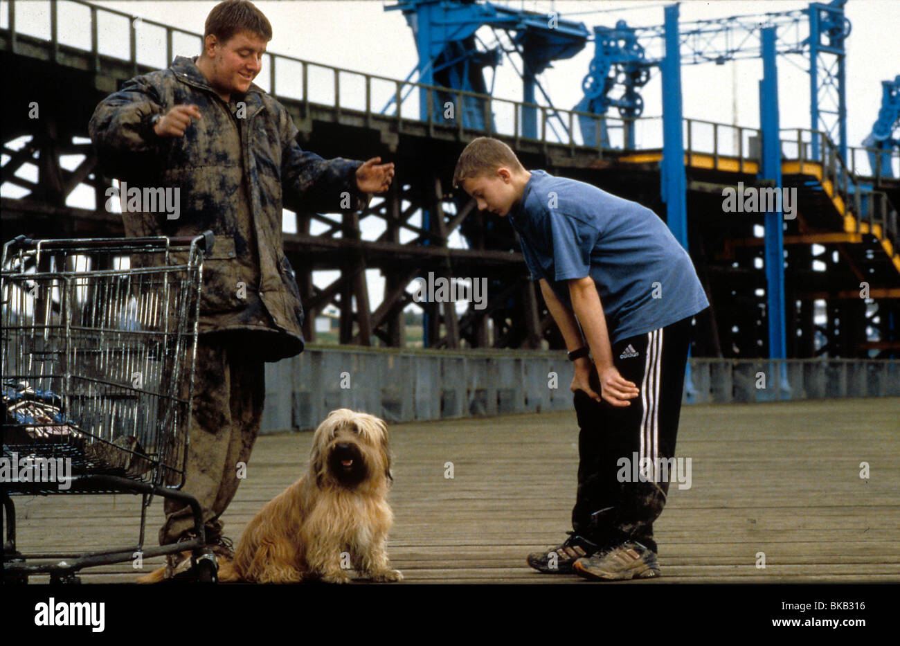 Beattie' hi-res stock photography and images - Alamy