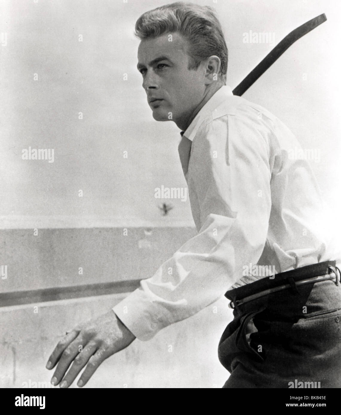 REBEL WITHOUT A CAUSE (1955) JAMES DEAN RWC 003P Stock Photo - Alamy