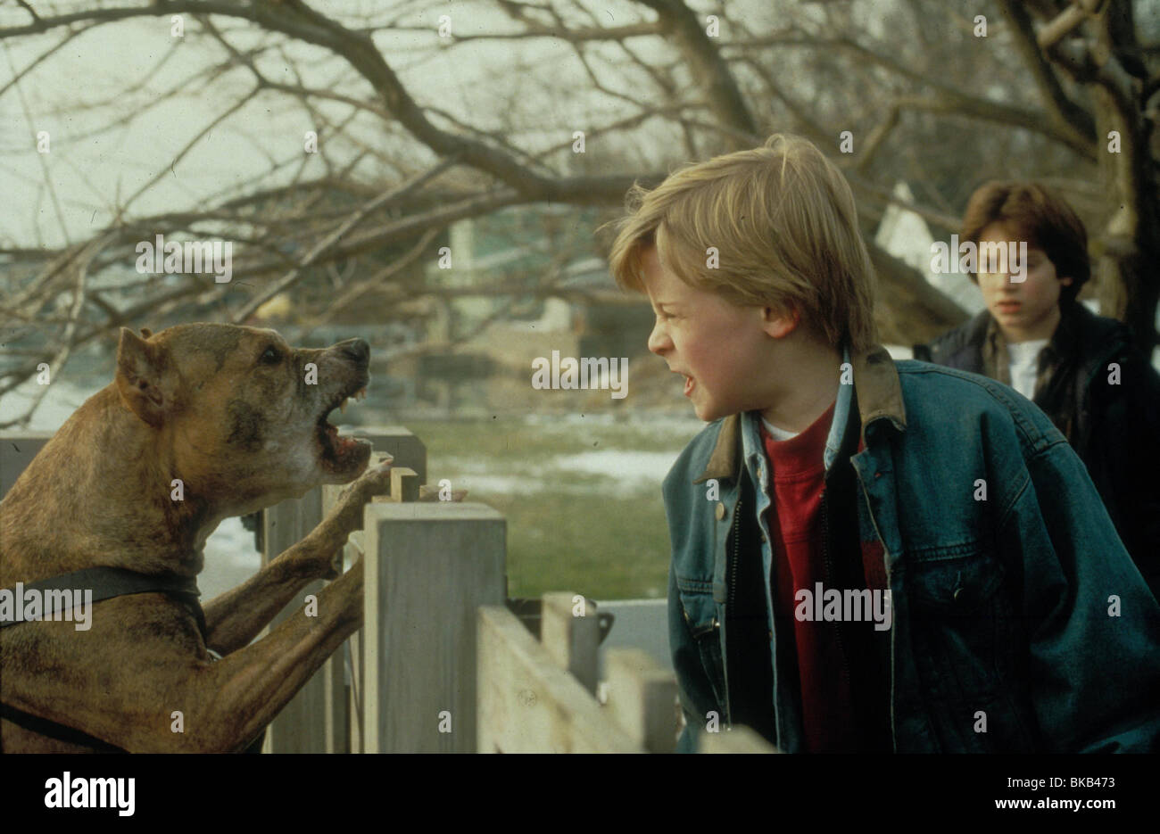 THE GOOD SON (1993) MACAULAY CULKIN, ELIJAH WOOD GDS 027 L Stock Photo ...