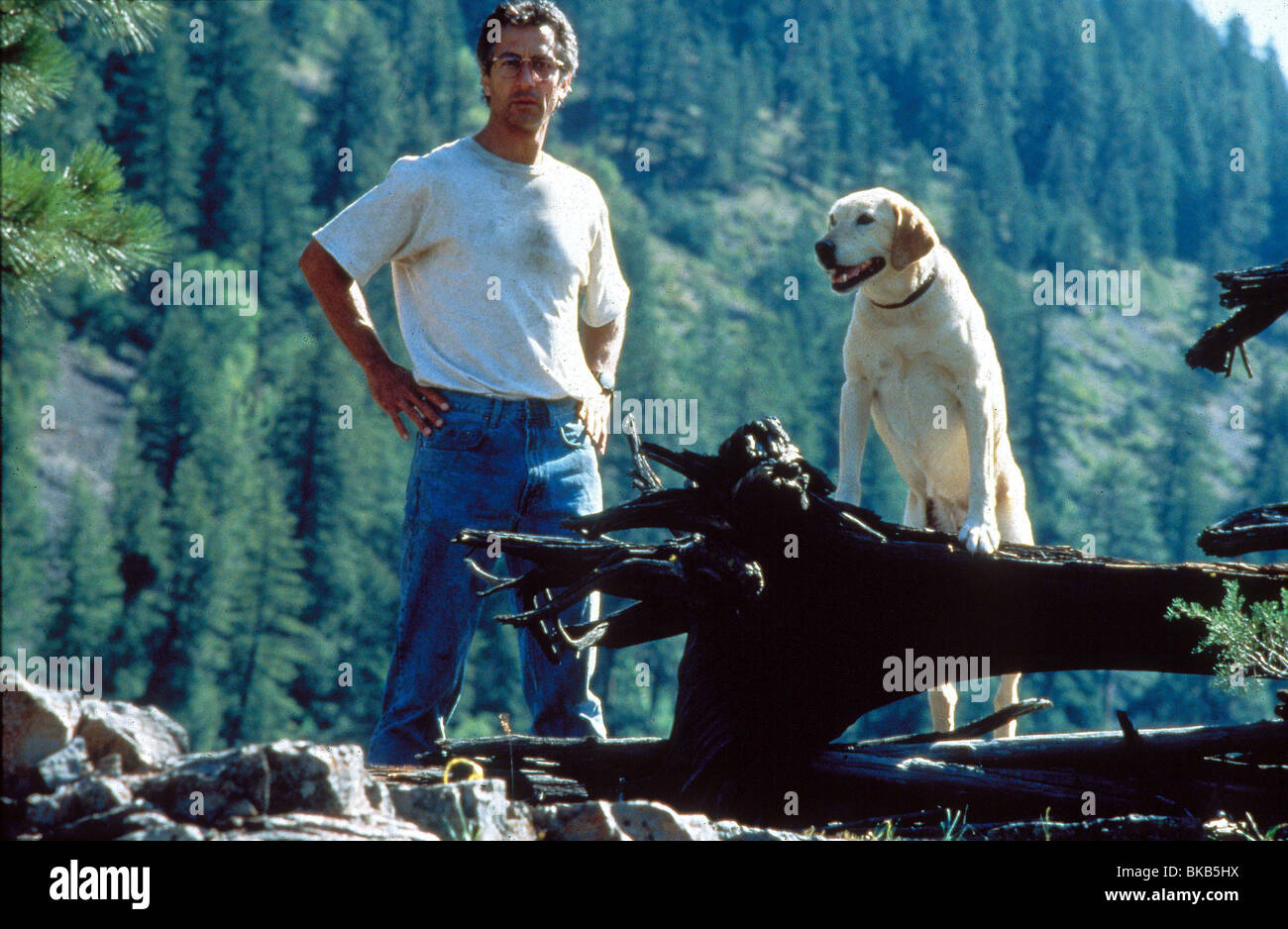 THE RIVER WILD (1994) DAVID STRATHAIRN TRVW 061 Stock Photo - Alamy