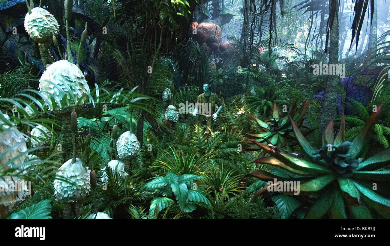 Avatar Movie Forest At Night