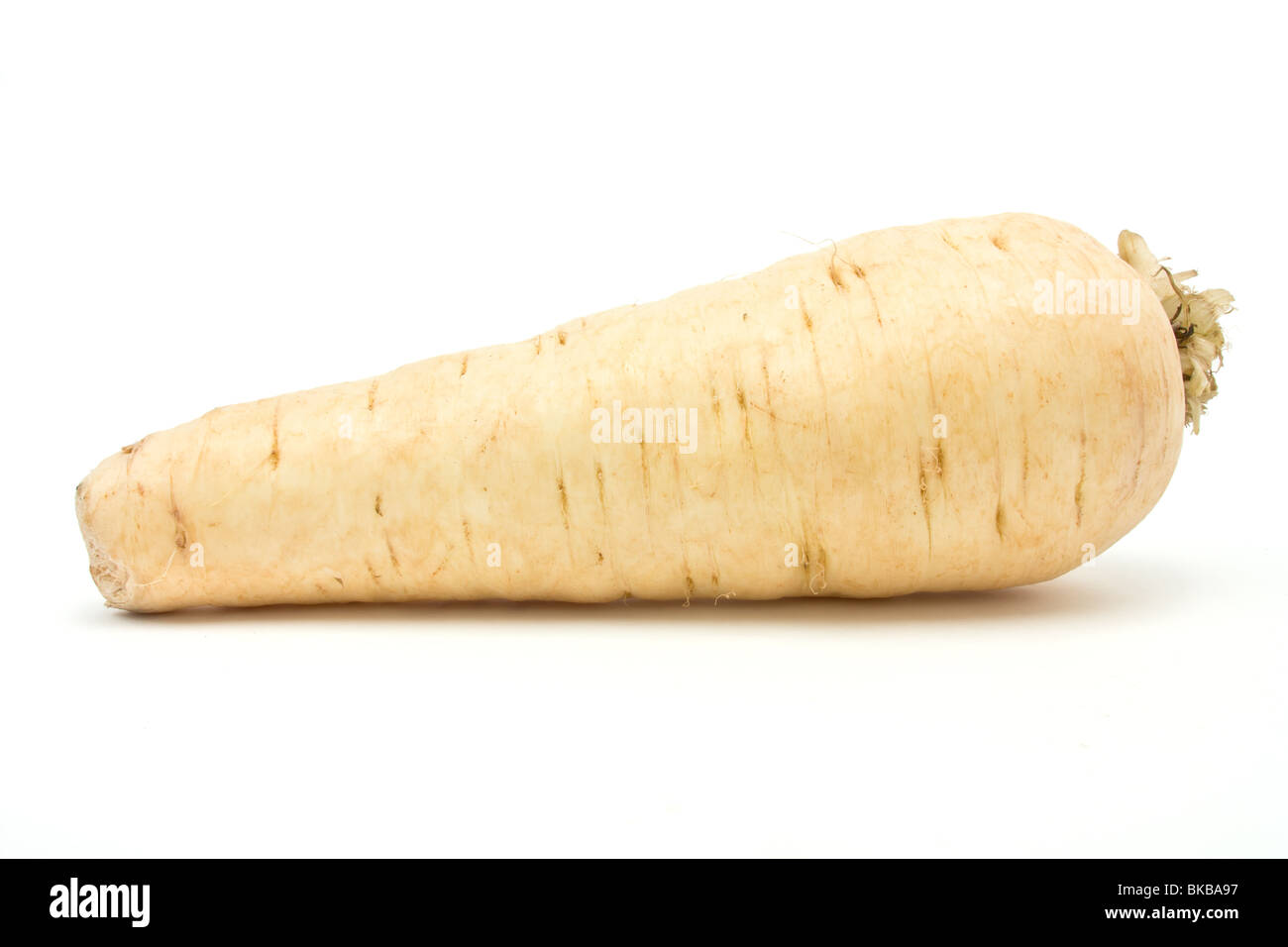 Single parsnip hi-res stock photography and images - Alamy