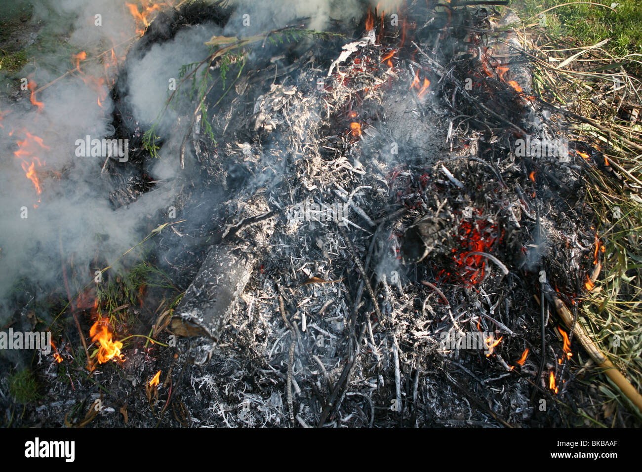 Bird's eye view of a smoldering bonfire Stock Photo - Alamy