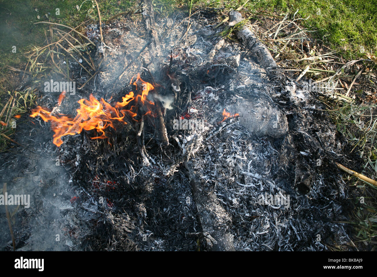 Bird's eye view of a smoldering bonfire Stock Photo - Alamy