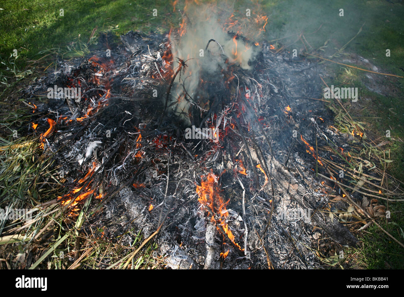 A garden bonfire Stock Photo - Alamy