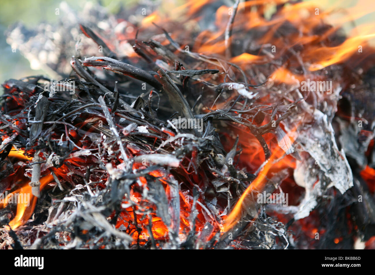 Close up of a garden bonfire Stock Photo - Alamy