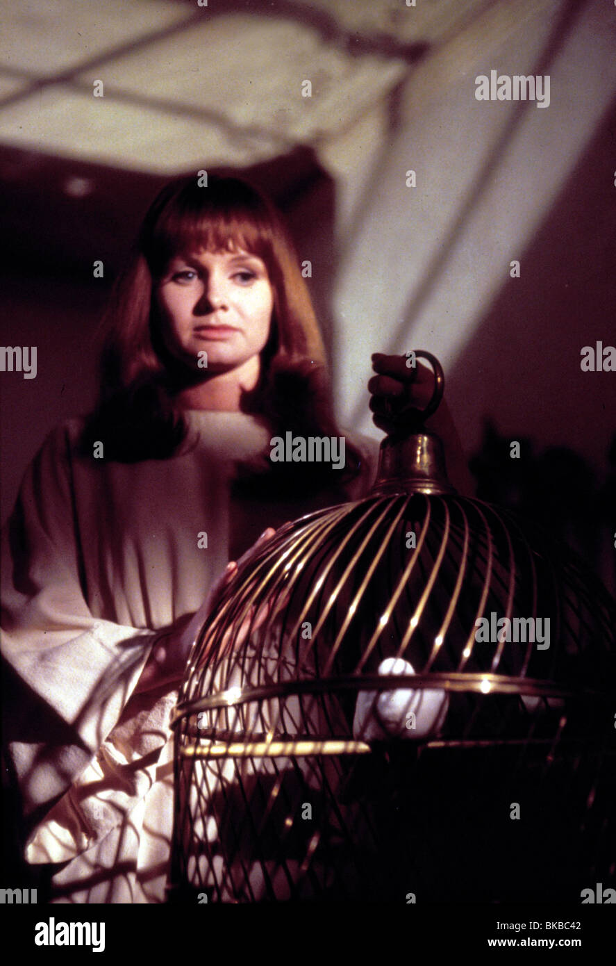 Severed hi-res stock photography and images - Alamy