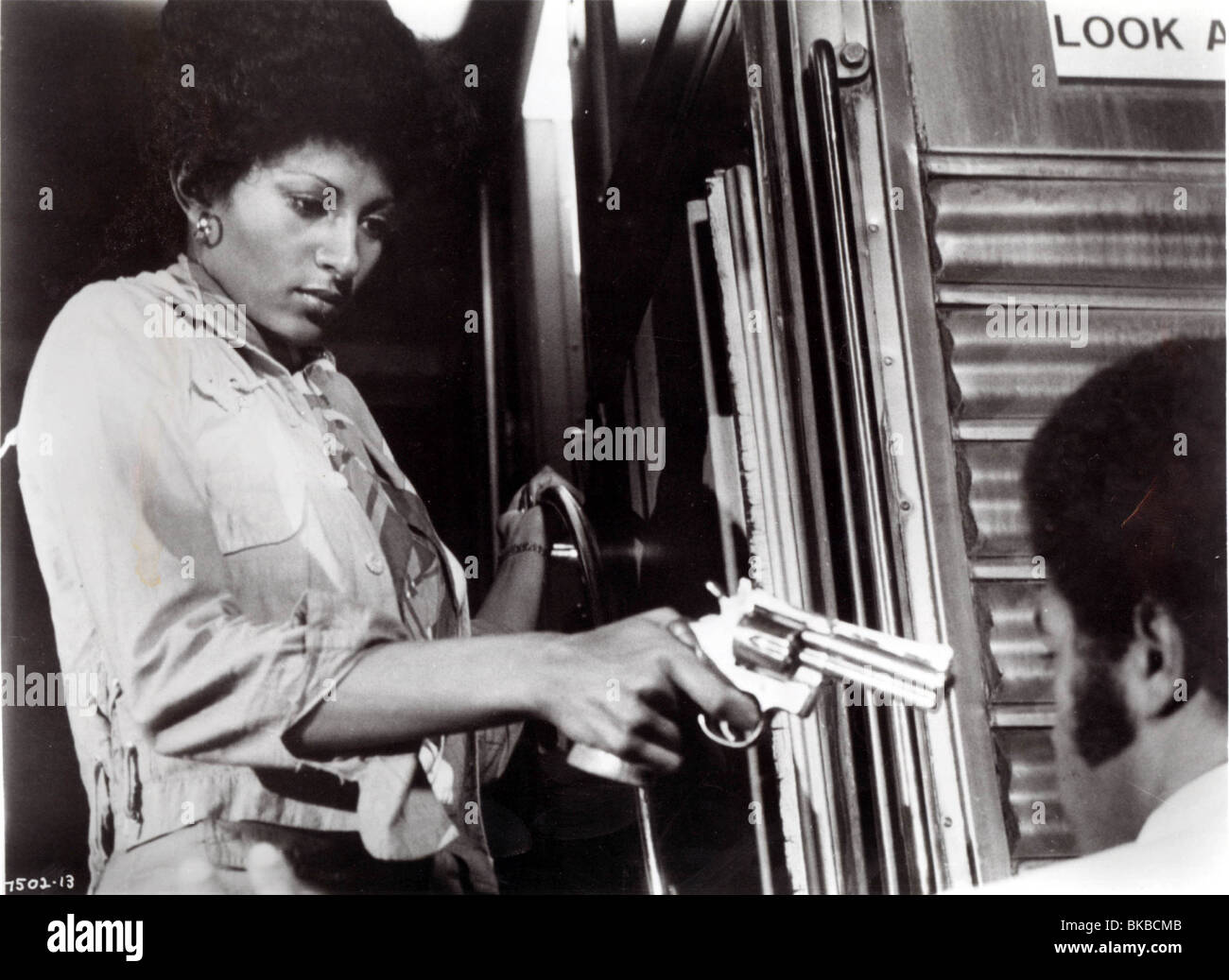 Sheba baby pam hi-res stock photography and images - Alamy