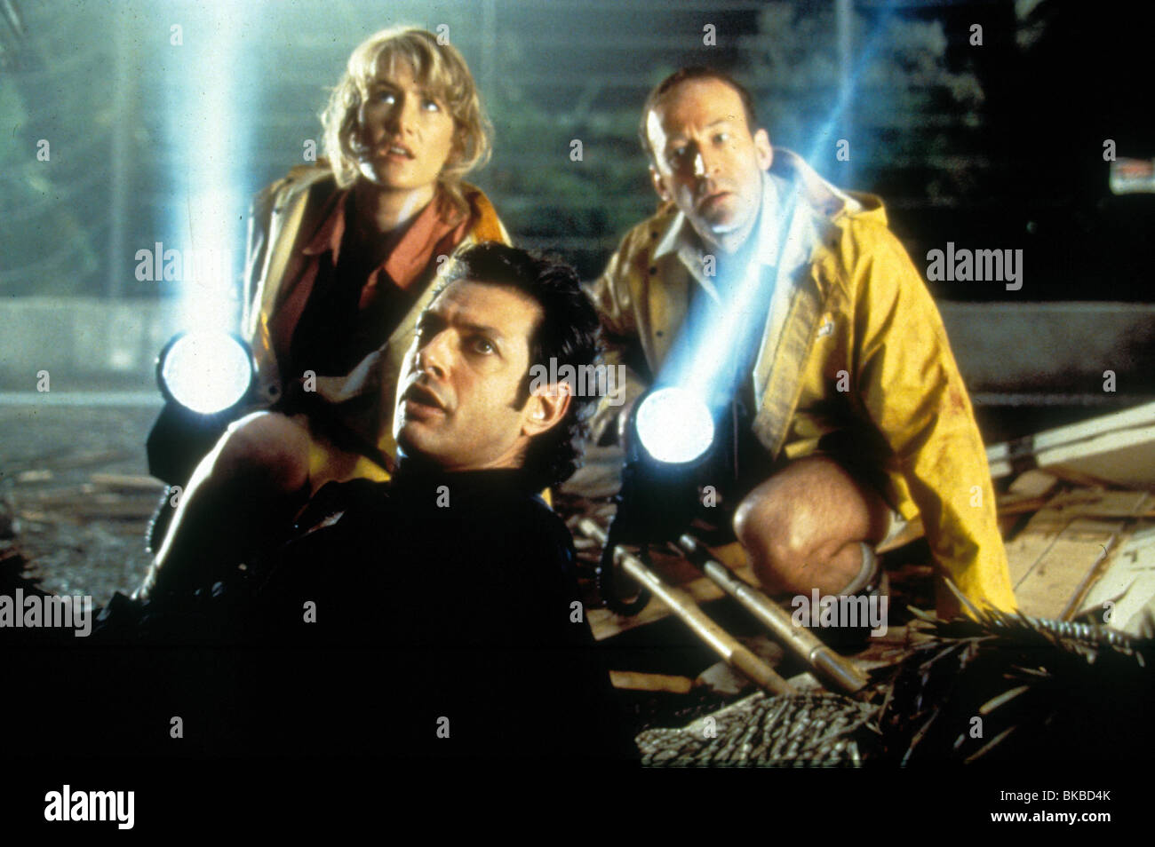 JURASSIC PARK (1993) LAURA DERN, JEFF GOLDBLUM, BOB PECK JUR 161 Stock ...