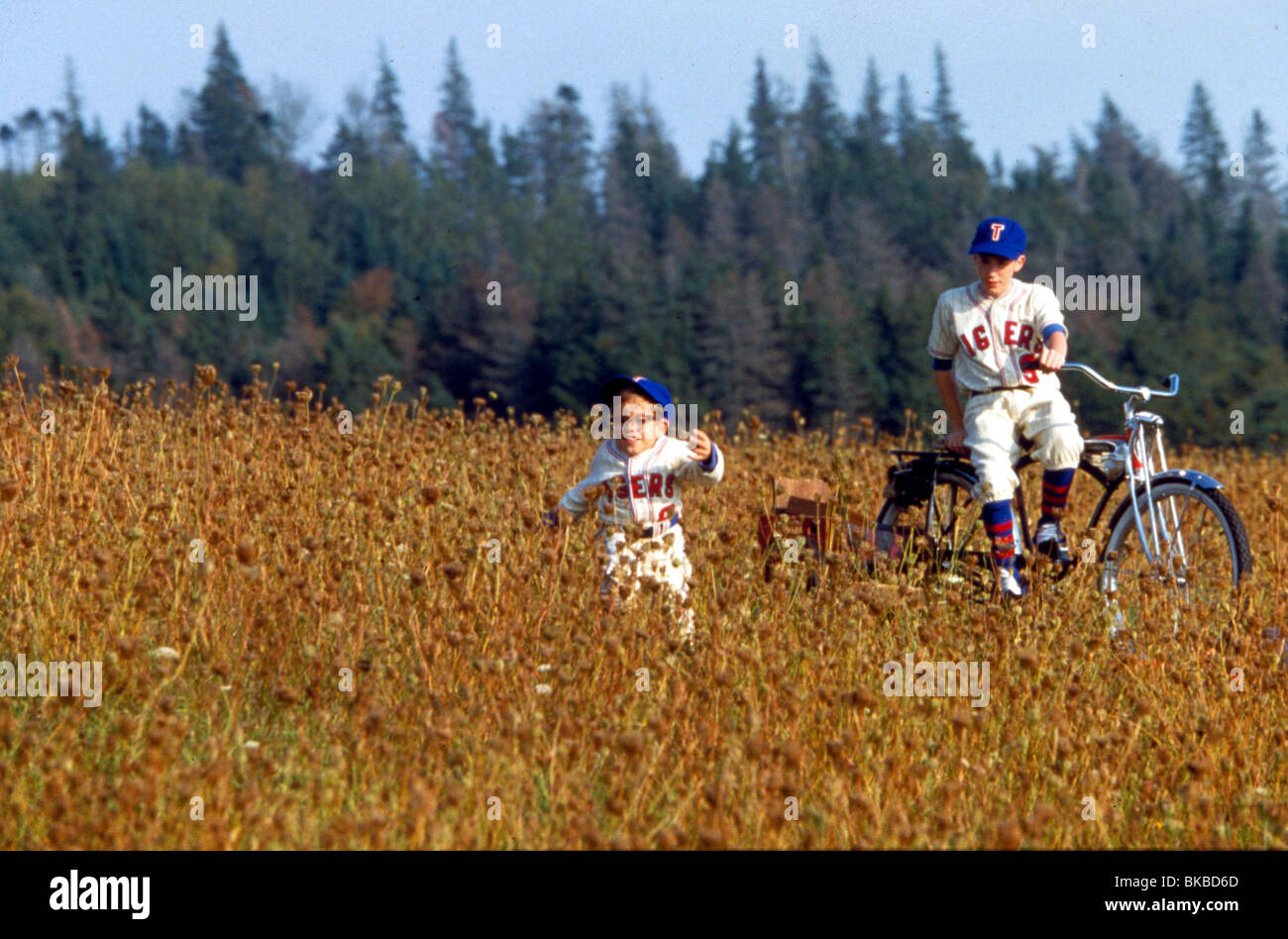 SIMON BIRCH (1998) IAN MICHAEL SMITH, JOSEPH MAZZELO SIBI 005 Stock ...