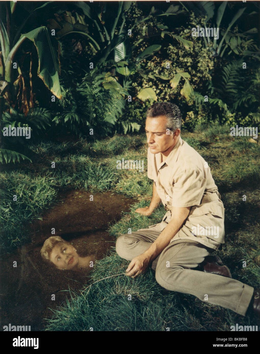 SOUTH PACIFIC (1958) MITZI GAYNOR, ROSSANO BRAZZI SOP 004CP Stock Photo ...