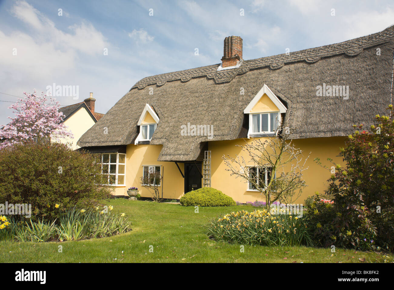 A thatched cottage in an English village Stock Photo - Alamy