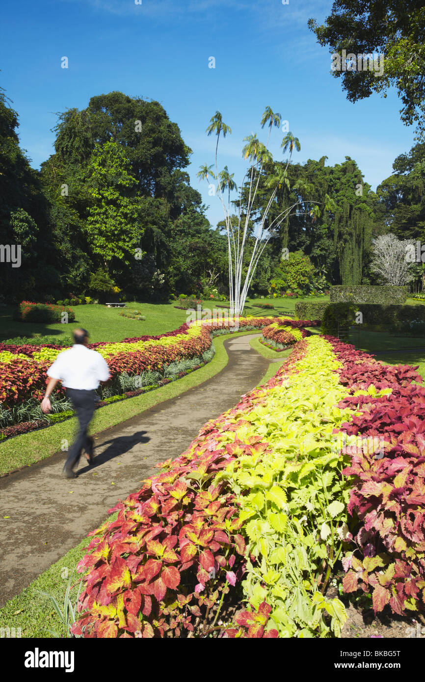 Flower garden in Peradeniya Botanic Gardens, Kandy, Sri Lanka Stock ...