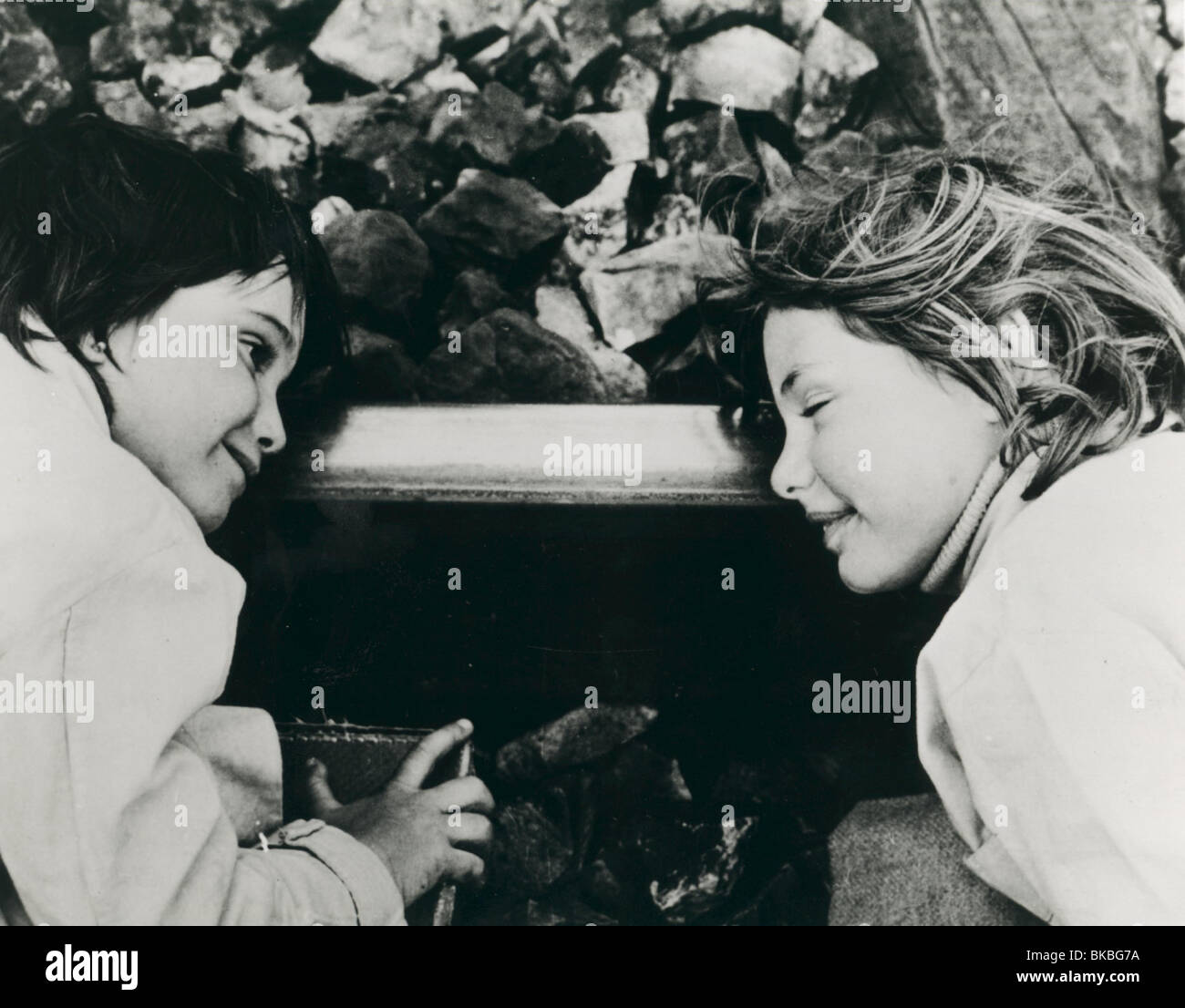 THE SPIRIT OF THE BEEHIVE (1973) EL ESPIRITU DE LA COLMENA (ALT) EPSI ...