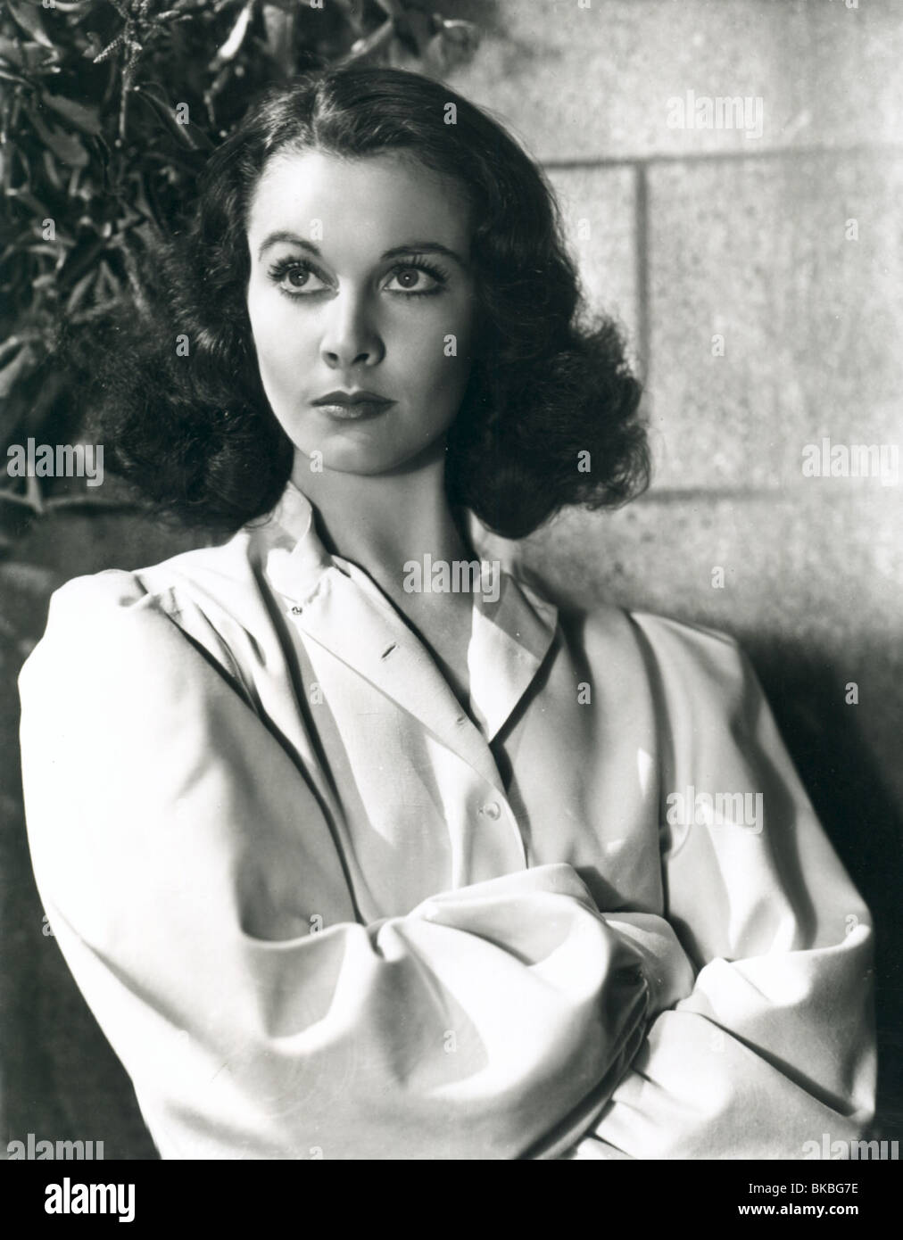 VIVIEN LEIGH PORTRAIT Stock Photo - Alamy