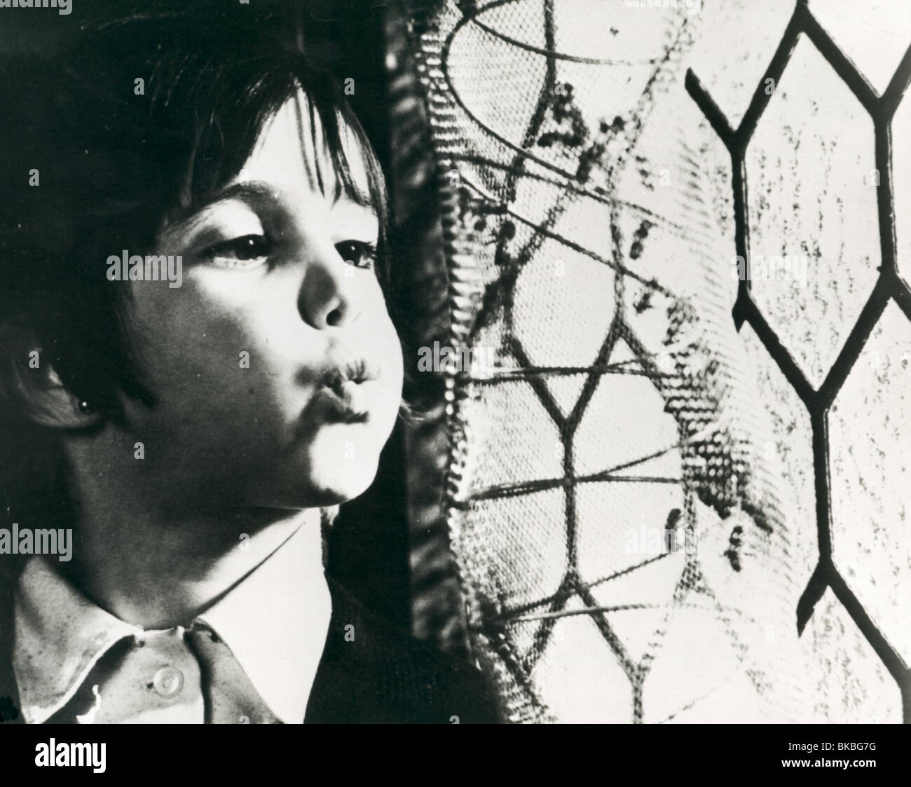 THE SPIRIT OF THE BEEHIVE (1973) EL ESPIRITU DE LA COLMENA (ALT) ESPI ...