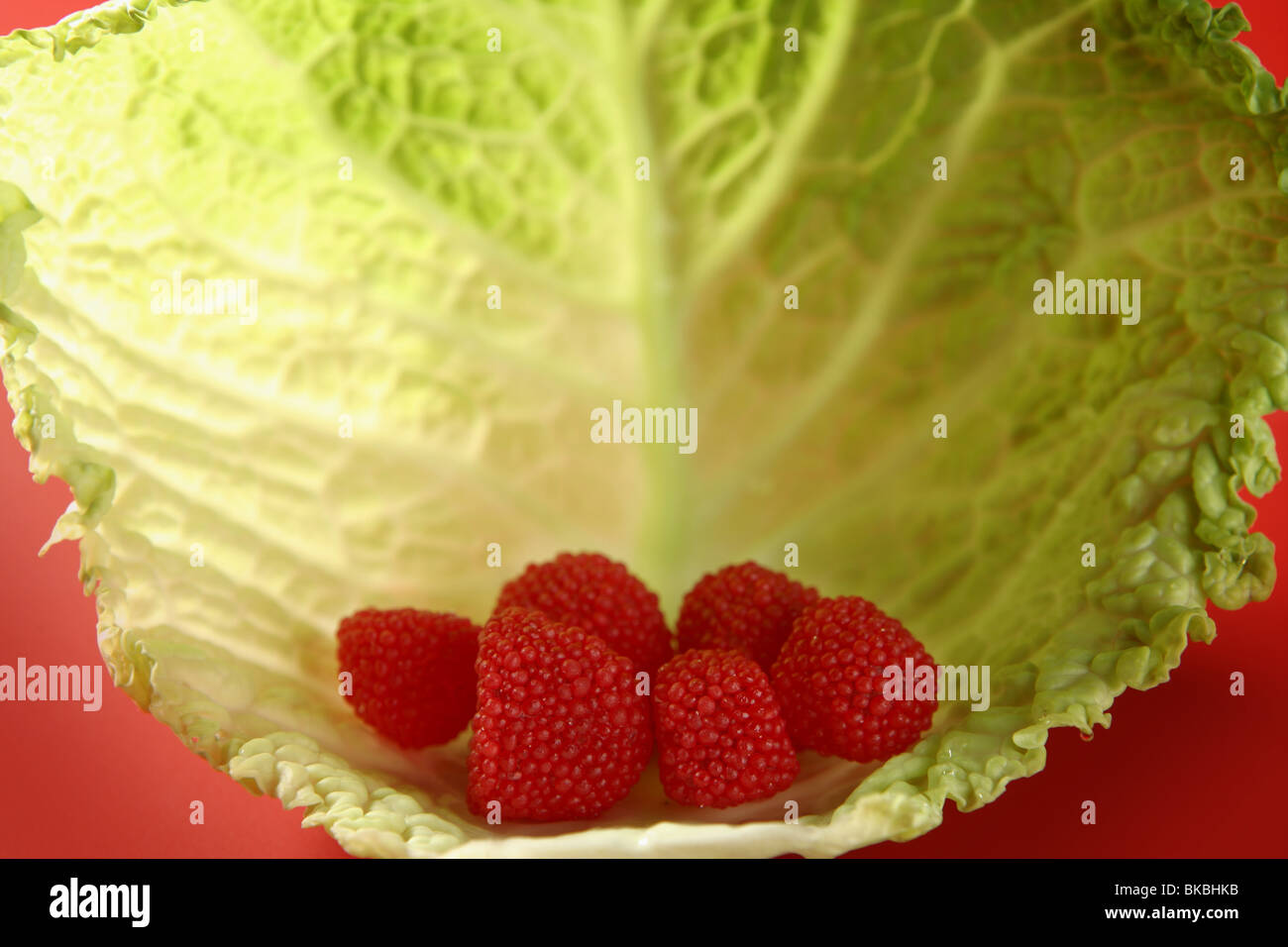 Candy sweets in a shell shape cabbage green leaf Stock Photo - Alamy
