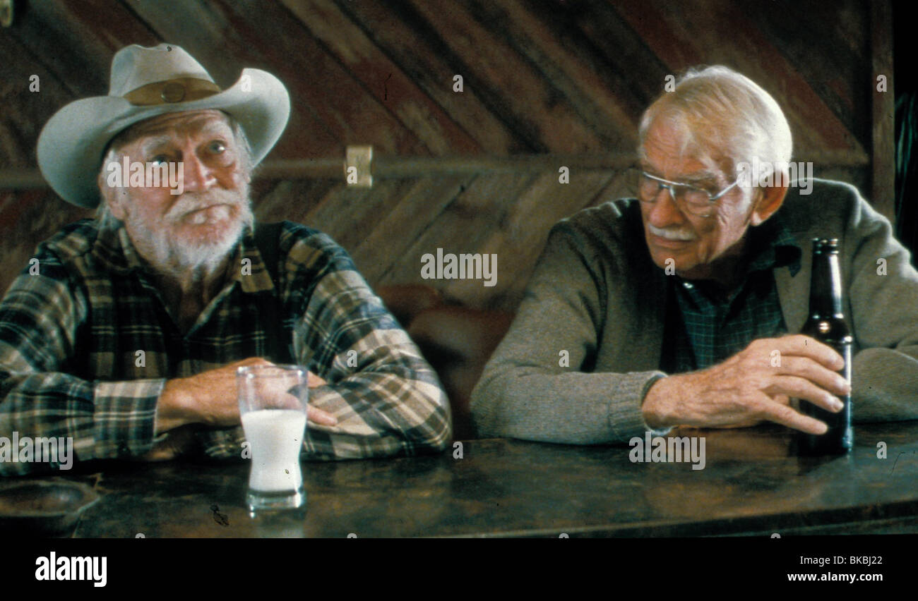 THE STRAIGHT STORY (1999) RICHARD FARNSWORTH, WILEY HARKER SRST 044 ...