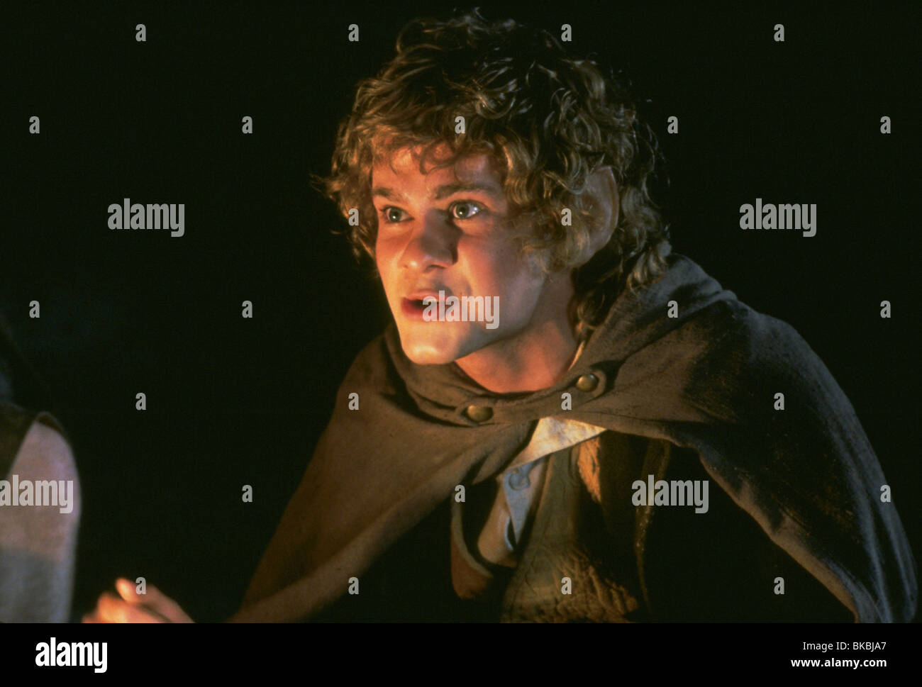 THE LORD OF THE RINGS: THE FELLOWSHIP OF THE RING (2001) DOMINIC ...