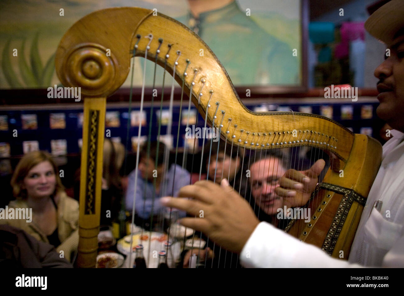 Arpa mexicana hi-res stock photography and images - Alamy