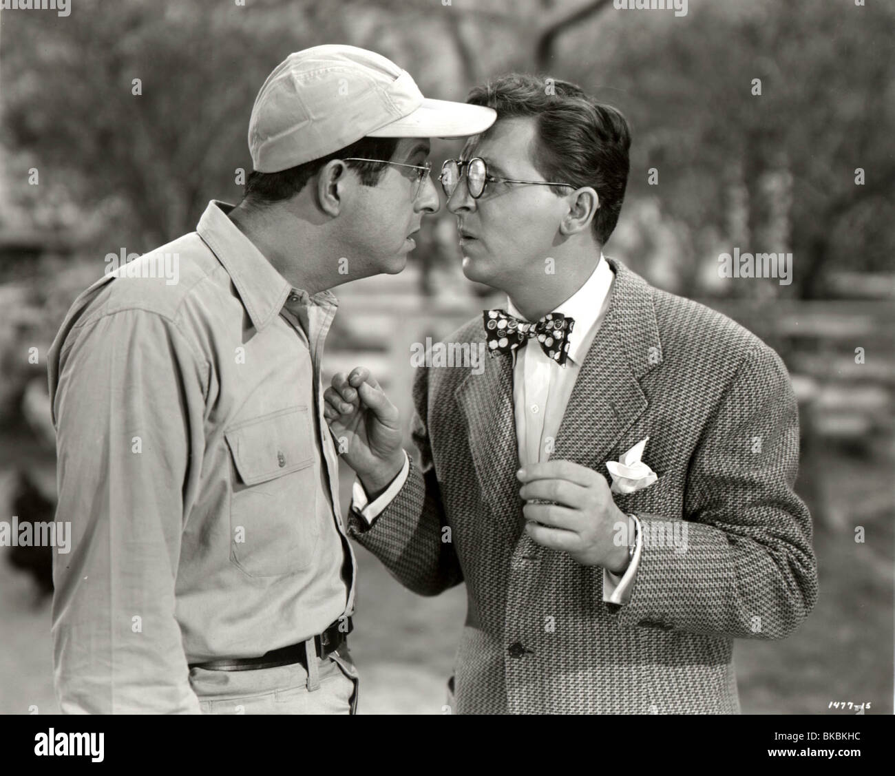 SUMMER STOCK (1950) IF YOU FEEL LIKE SINGING (ALT) PHIL SILVERS, EDDIE ...