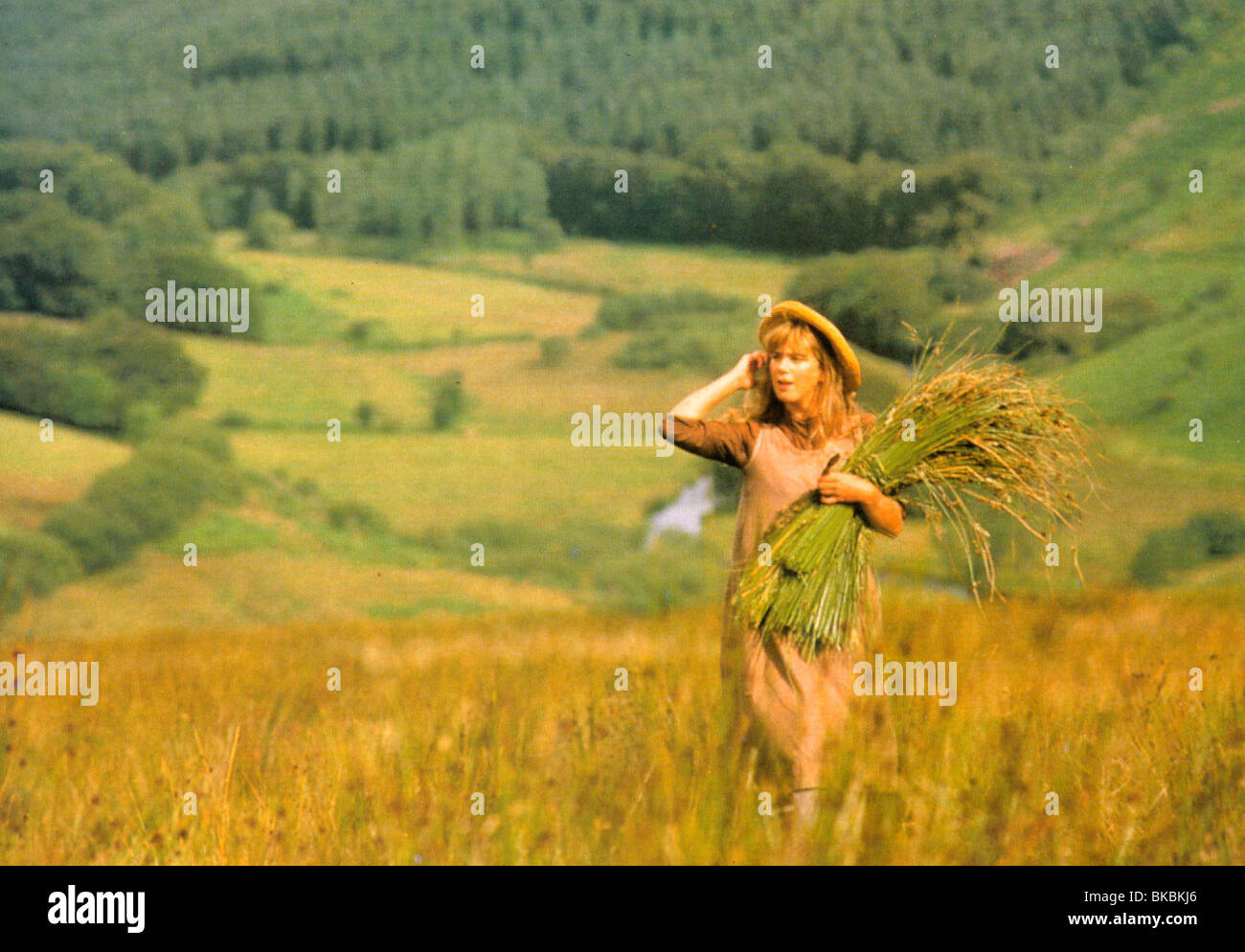 A SUMMER STORY SMSY 006FOH Stock Photo Alamy a-summer-story-smsy-006foh-stock-photo-alamy