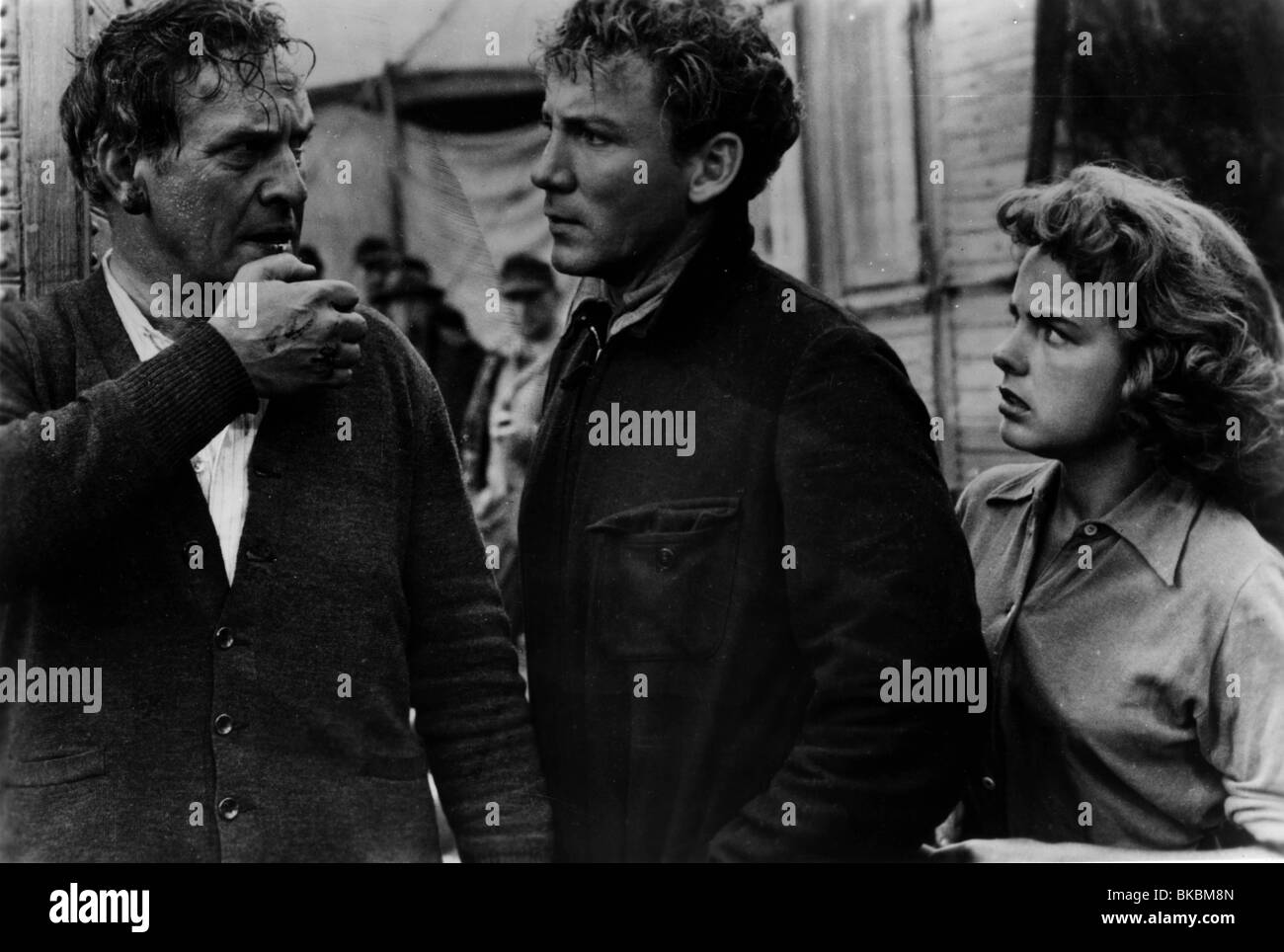 Terry moore hi-res stock photography and images - Alamy