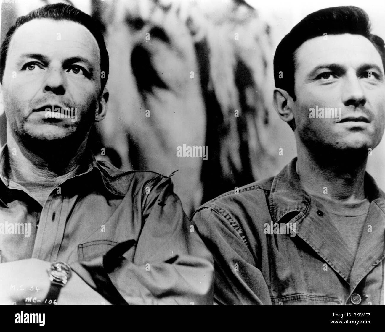 THE MANCHURIAN CANDIDATE FRANK SINATRA,LAURENCE HARVEY MCD 001P Stock ...
