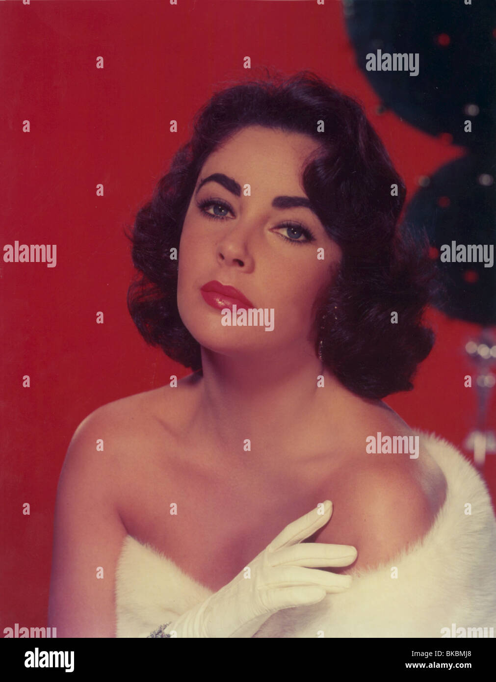 ELIZABETH TAYLOR PORTRAIT Stock Photo - Alamy