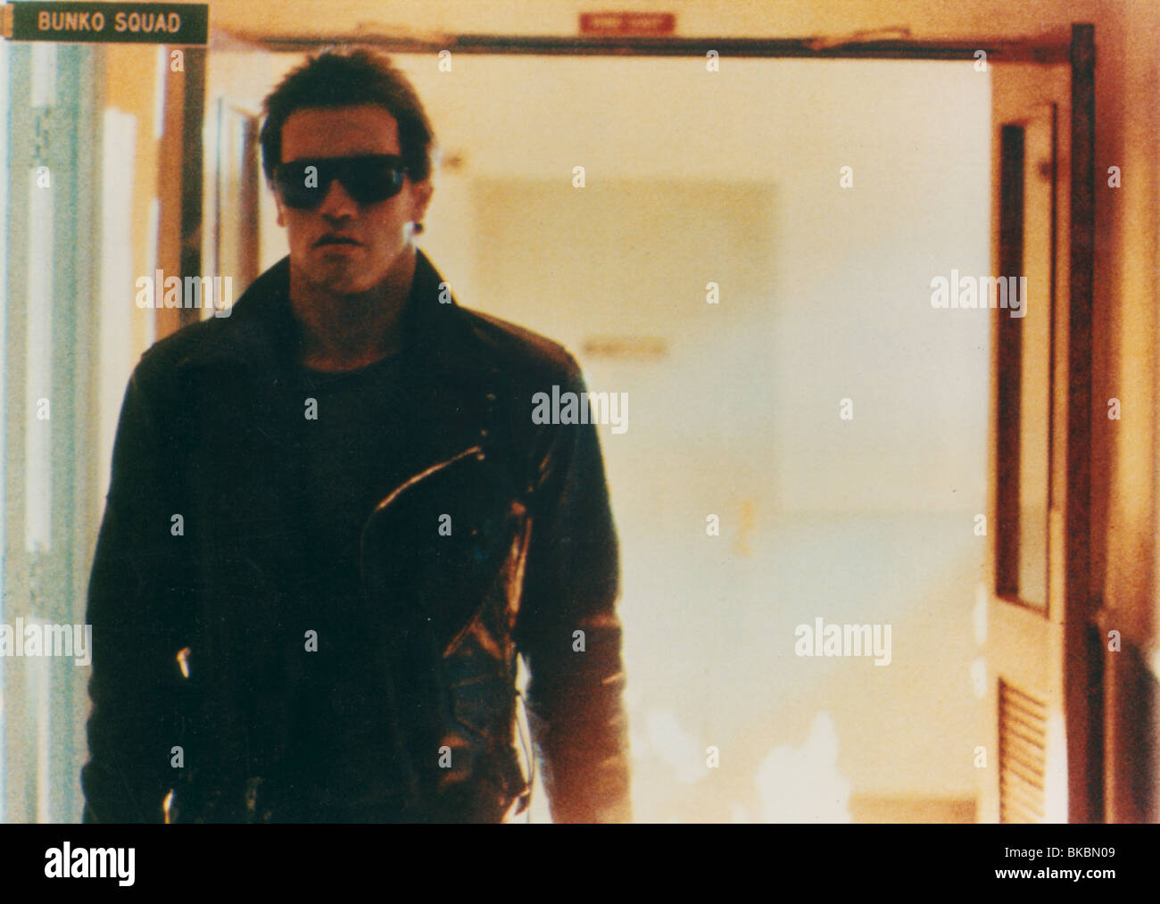THE TERMINATOR (1984) ARNOLD SCHWARZENEGGER TRM 009CP Stock Photo - Alamy