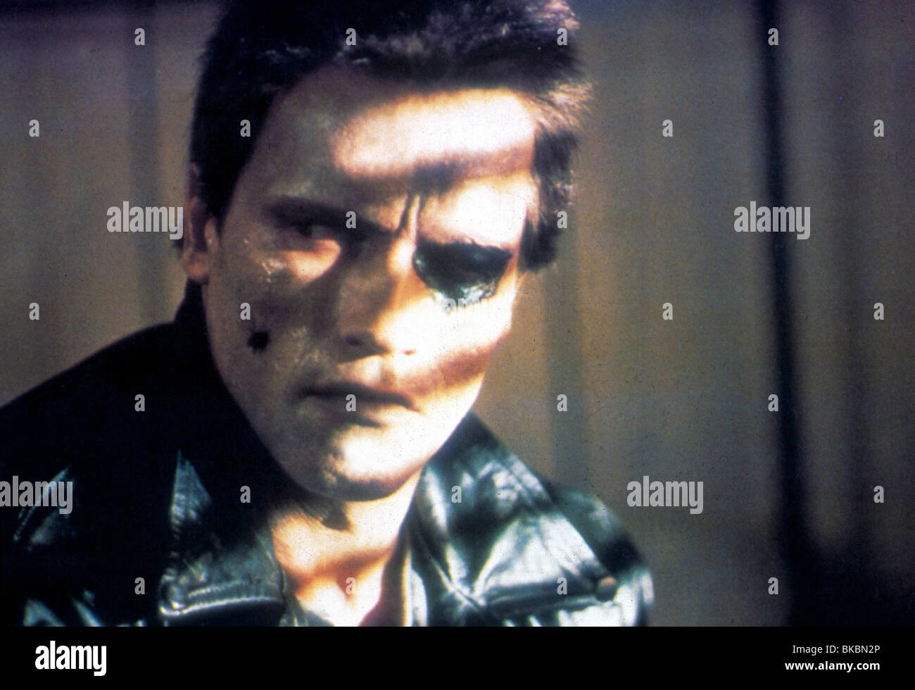 THE TERMINATOR (1984) ARNOLD SCHWARZENEGGER TRM 076 Stock Photo - Alamy
