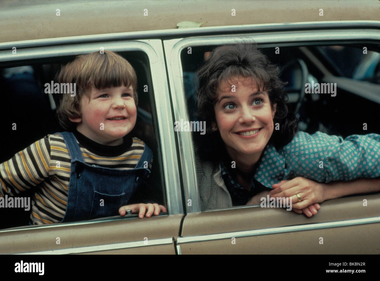 Huckleberry Fox High Resolution Stock Photography and Images - Alamy