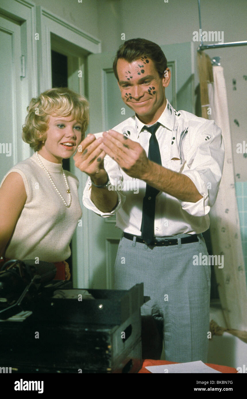 That darn cat hayley mills hi-res stock photography and images - Alamy