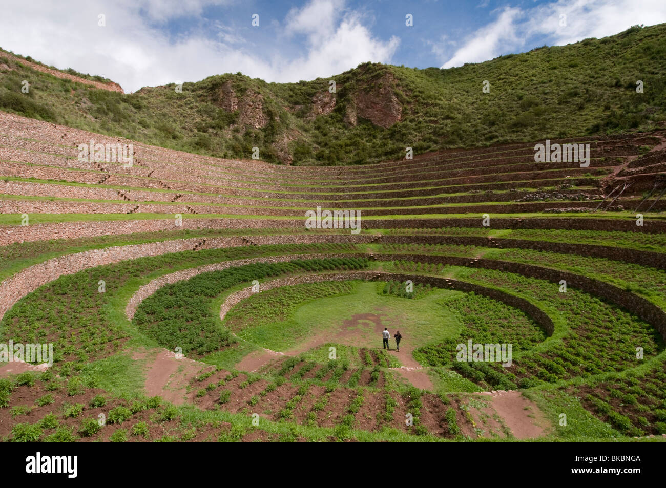Inca crop circles hi-res stock photography and images - Alamy