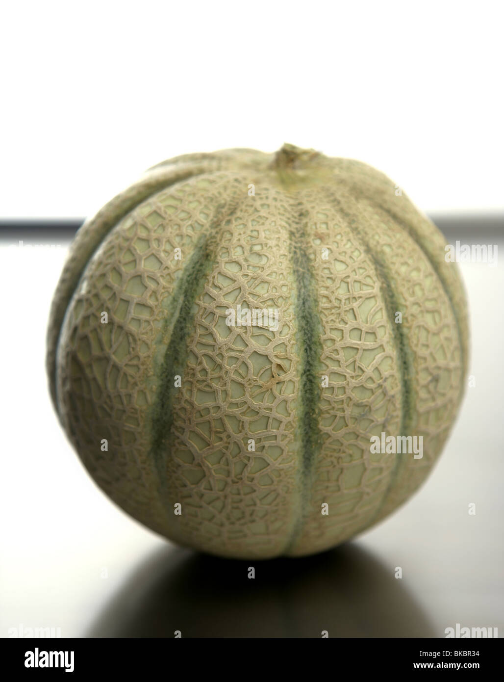 One melon fruit over a stainless steel table Stock Photo - Alamy