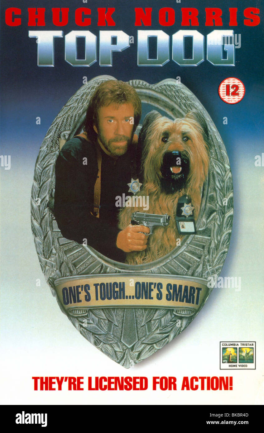 TOP DOG (1995) POSTER CHUCK NORRIS TOPD 001VS Stock Photo - Alamy