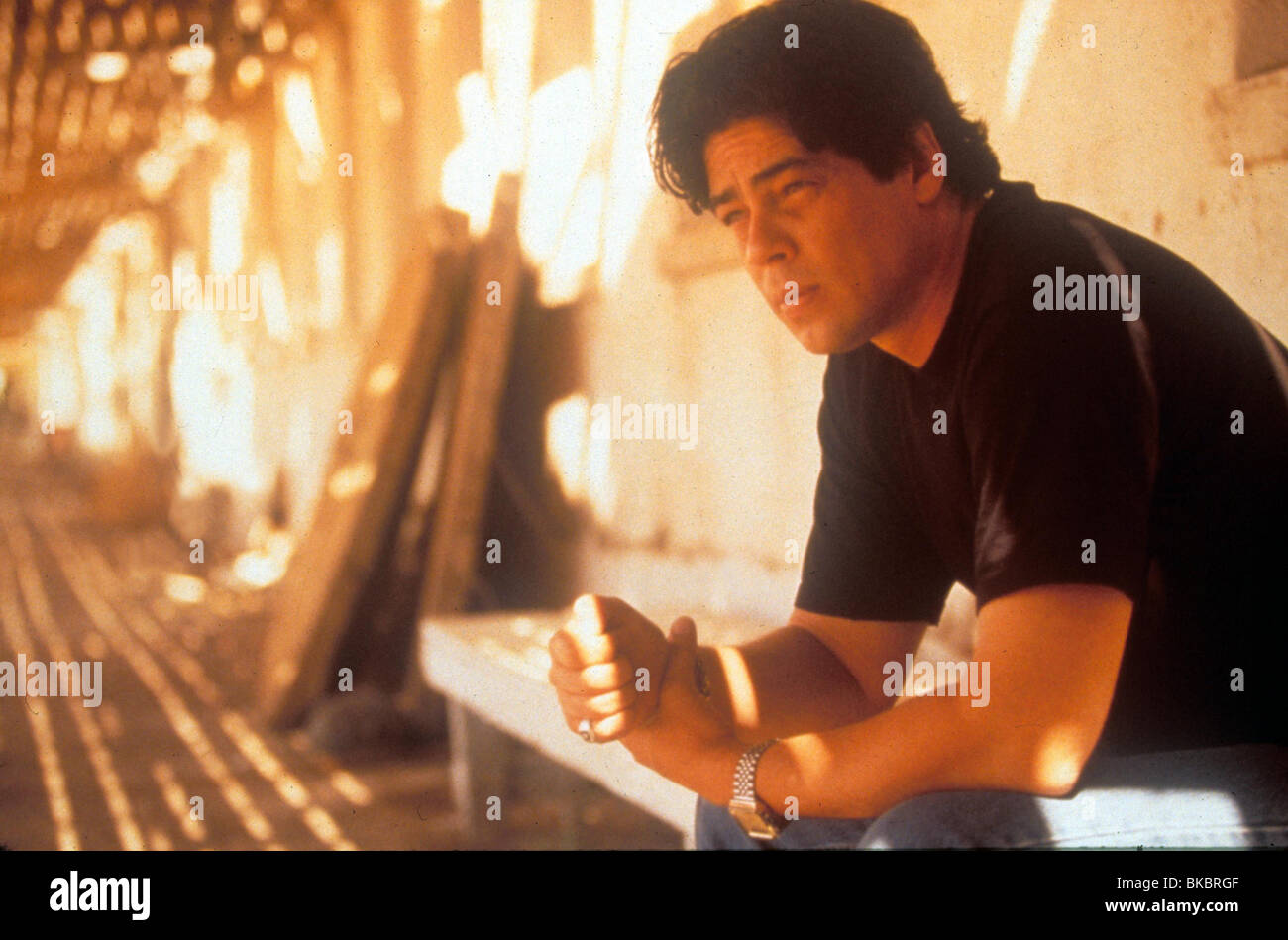 Traffic Benicio Del Toro
