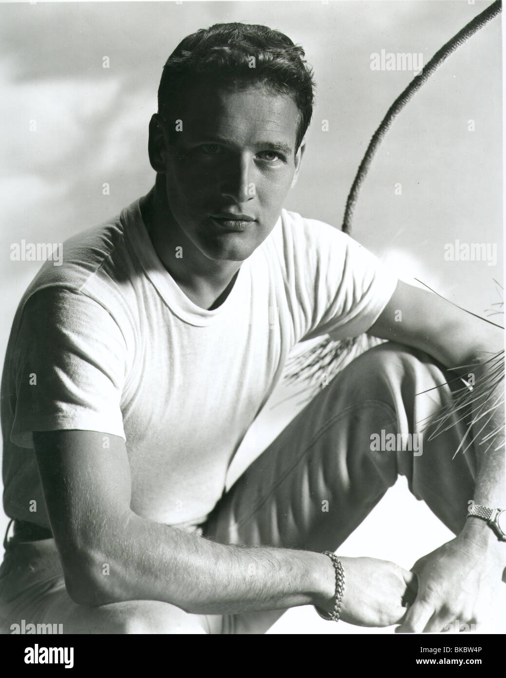 Paul newman hi-res stock photography and images - Alamy