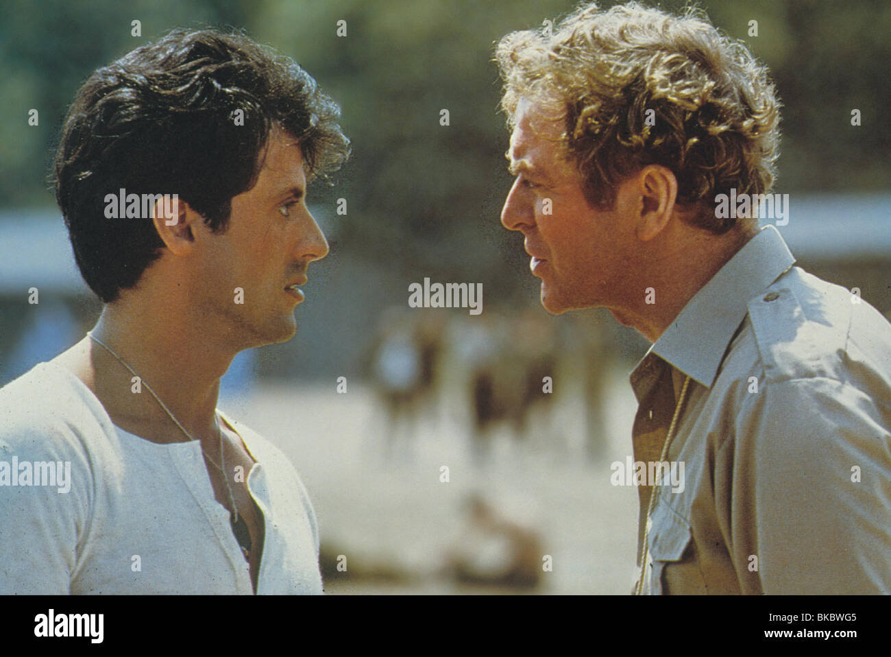 VICTORY (1981) ESCAPE TO VICTORY (ALT) SYLVESTER STALLONE, MICHAEL ...