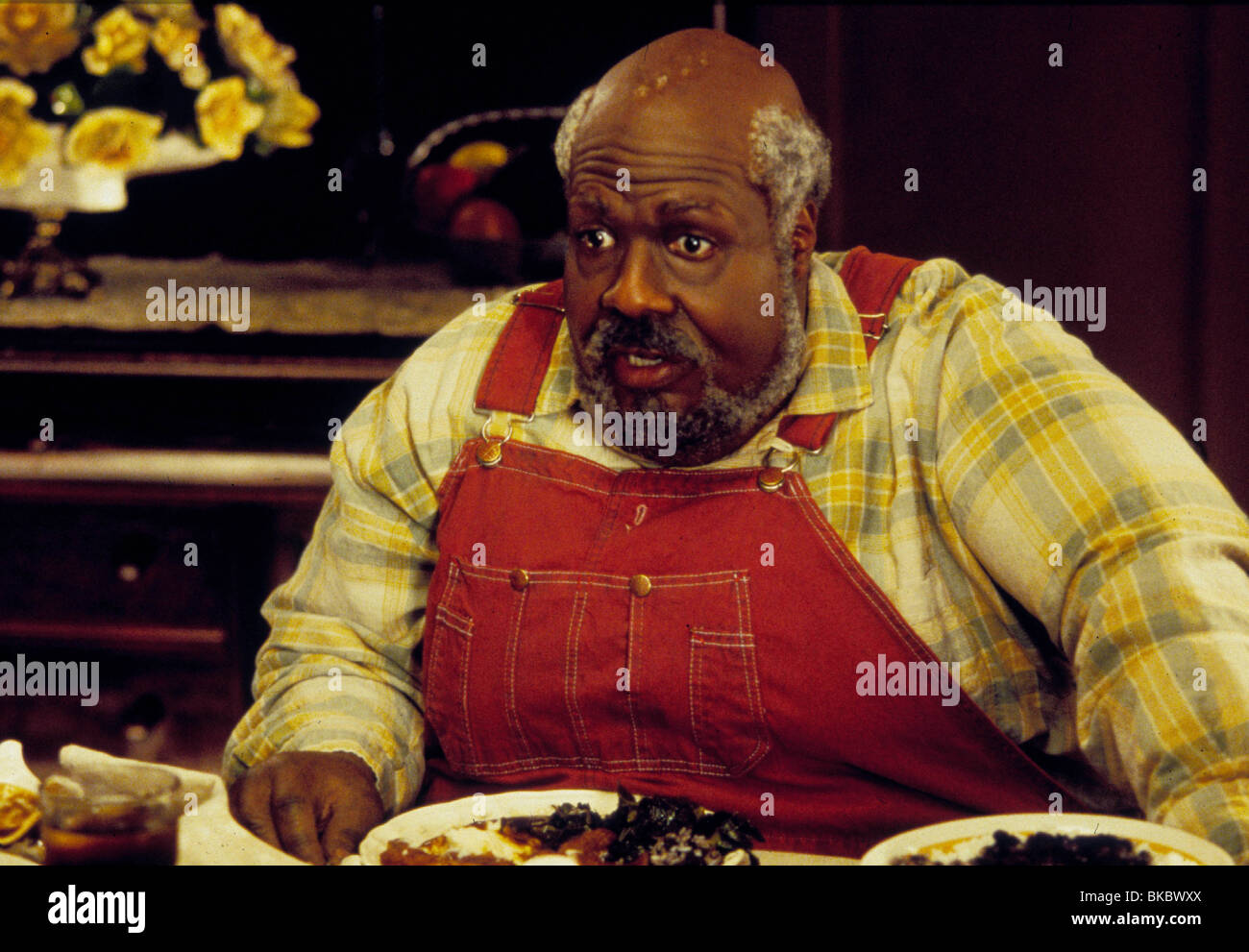 THE NUTTY PROFESSOR (1996) EDDIE MURPHY NTYP 050 Stock Photo - Alamy
