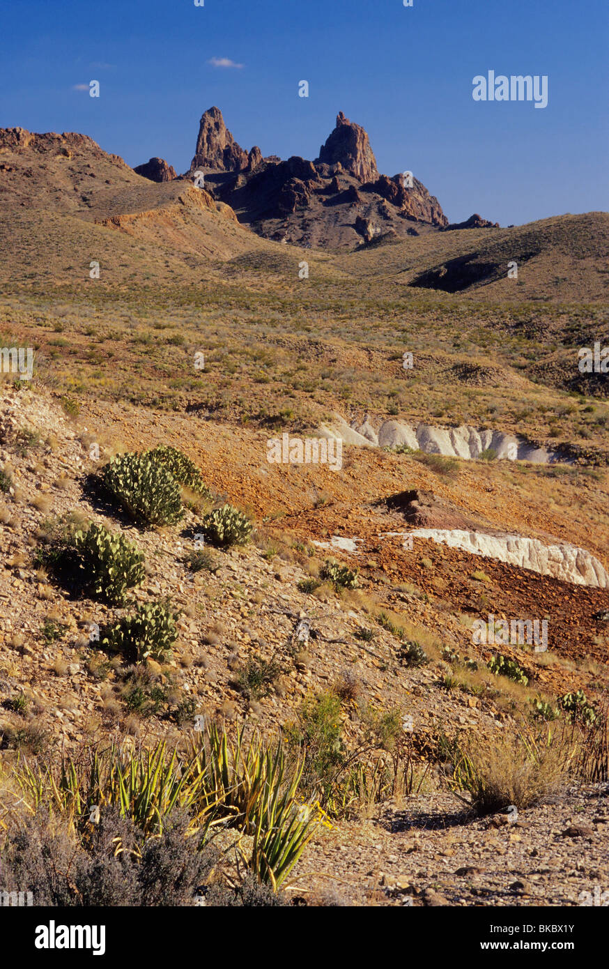 Mule Ears Peaks in Big Bend National Park, Texas, USA Stock Photo - Alamy