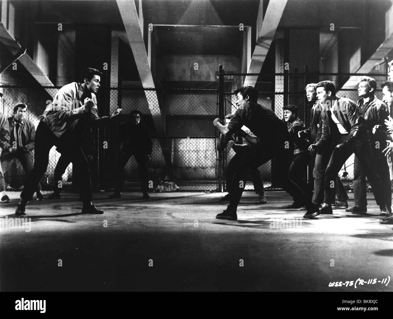 WEST SIDE STORY (1961) GEORGE CHAKIRIS, RICHARD BEYMER WSSY 008P Stock ...