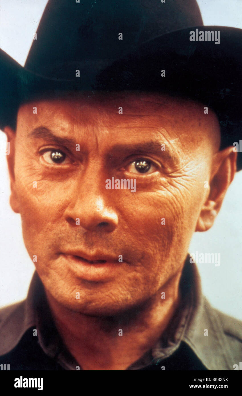 Yul brynner westworld hi-res stock photography and images - Alamy