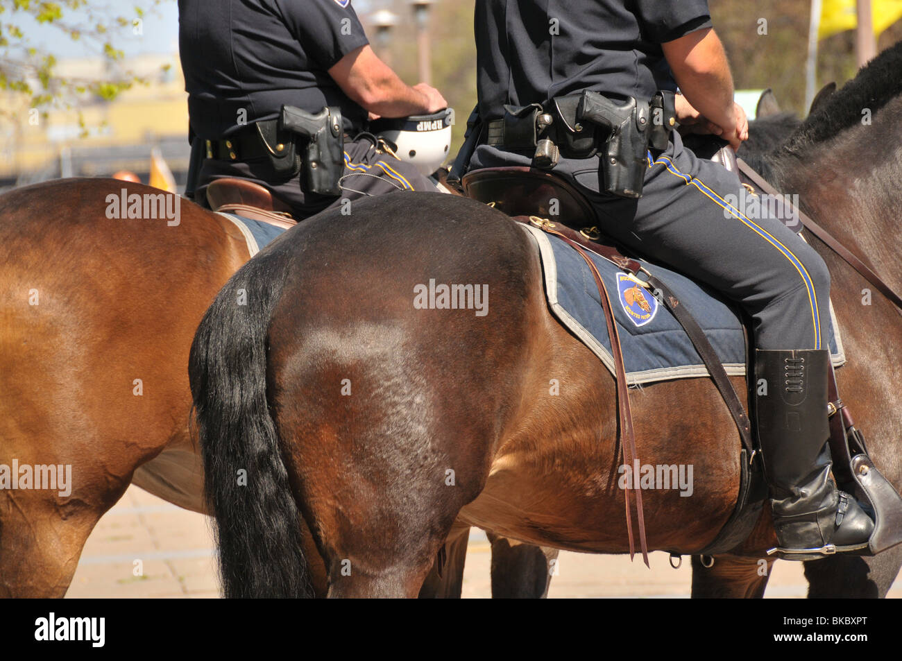 Mounted cops hi-res stock photography and images - Alamy